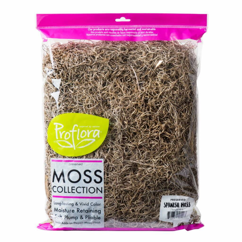 Preserved Green Spanish Moss, Natural 530 CU in-Floral Arranging ...